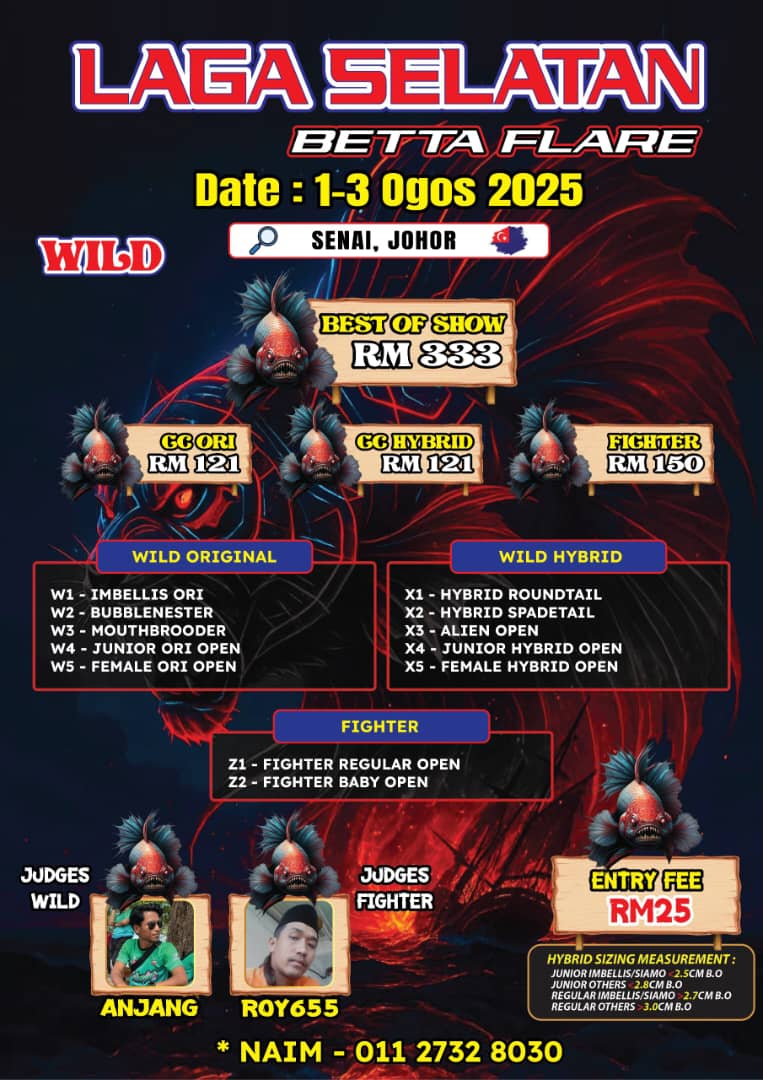 LAGA SELATAN BETTA FLARE